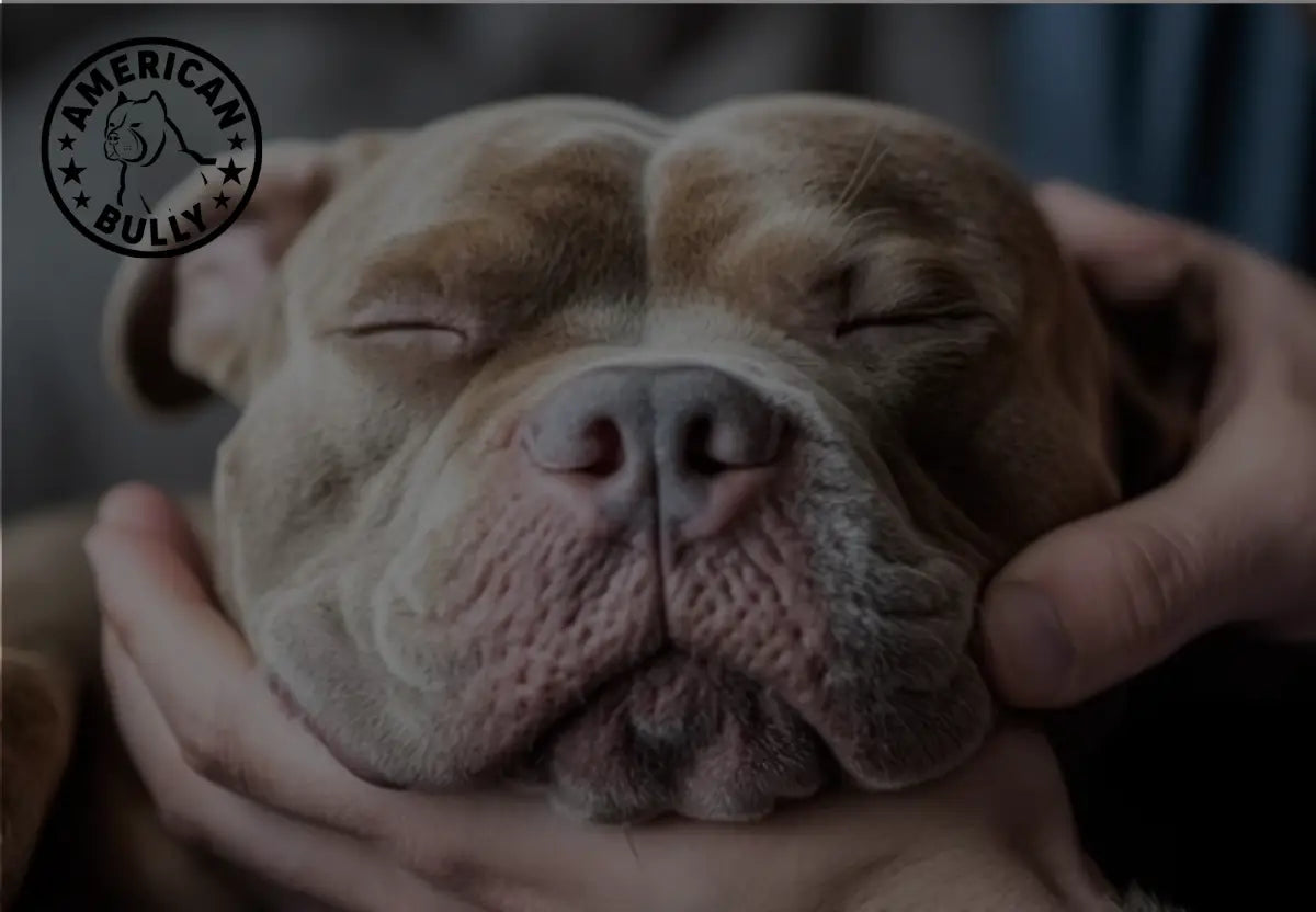 Bully Yoga: Fun Low-Impact Bonding Exercises for You and Your Dog